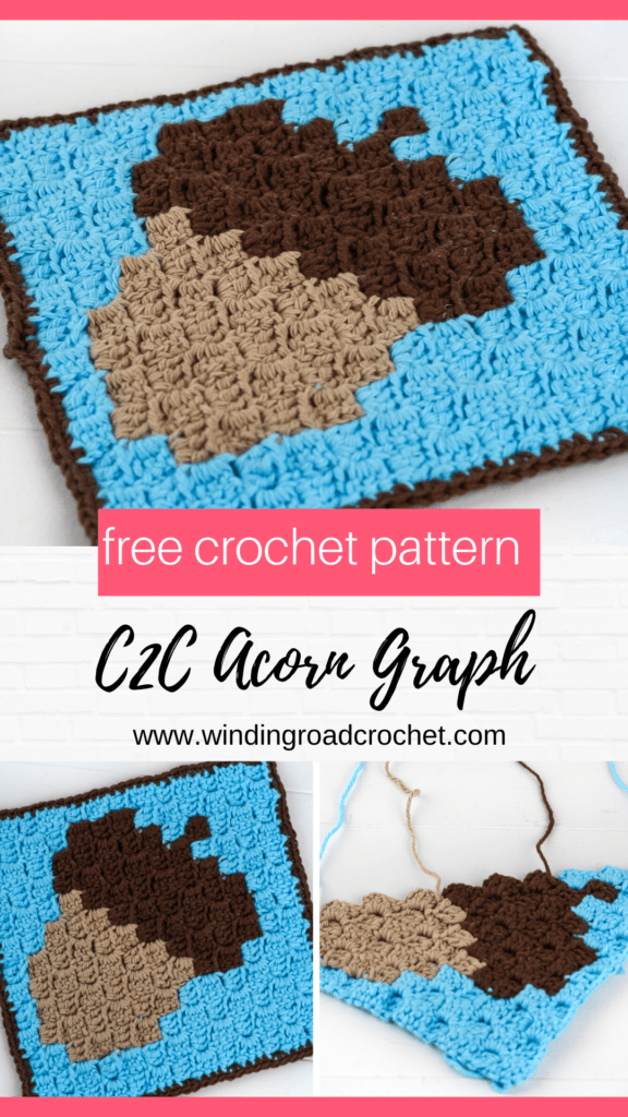 Acorn C2C Crochet Graph - Winding Road Crochet