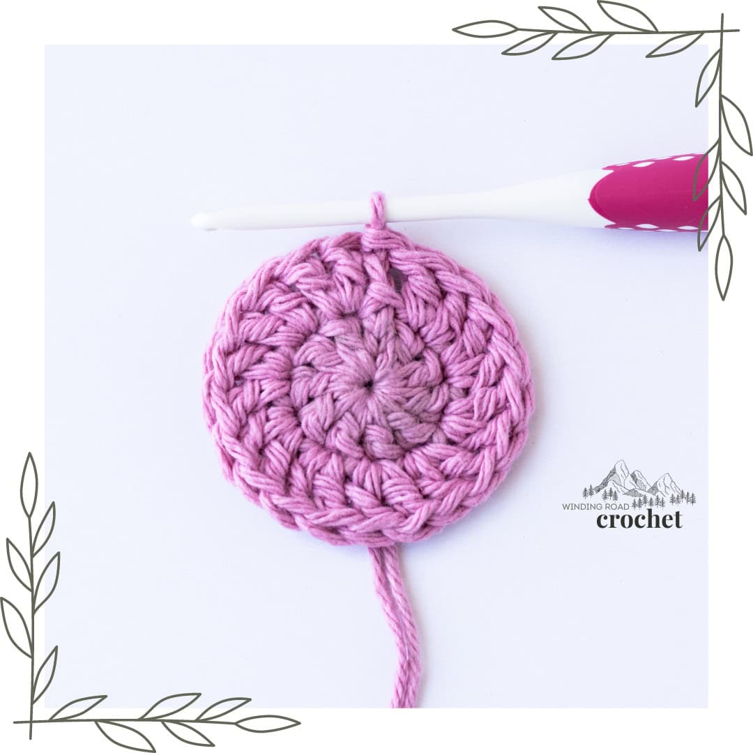 How to Crochet a Bath Mitt: Free Pattern and Video for Beginners ...