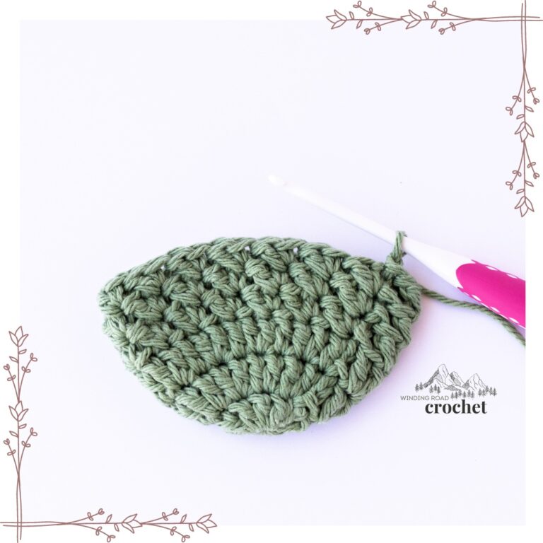How to Crochet a Bath Mitt: Free Pattern and Video for Beginners ...