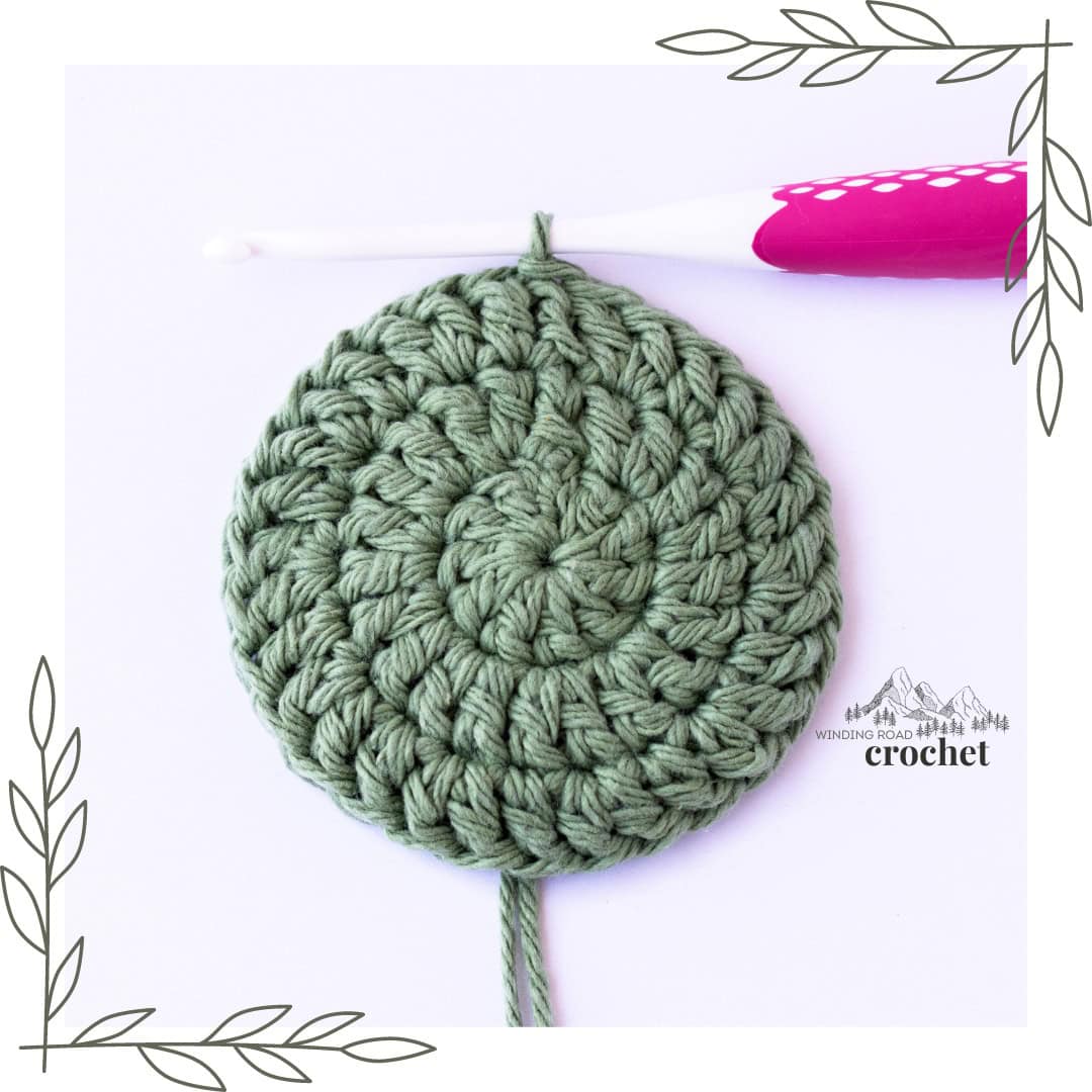 How to Crochet a Bath Mitt: Free Pattern and Video for Beginners ...